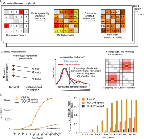 Nature Method发文：用于单细胞hi C数据的snaphic算法，能以高分辨率和高准确度识别染色质环凤凰网