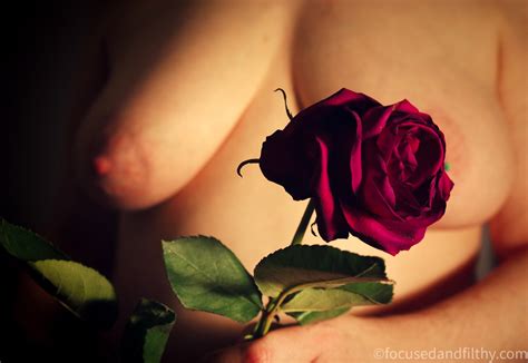 One Perfect Red Rose Focused And Filthy