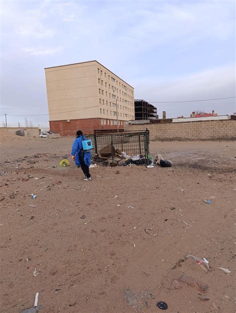 Замын Үүд Замын Үүд сумын Засаг даргын Тамгын газар