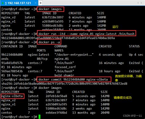 docker：（三）docker镜像与容器基本的基本操作 在容器立面输入docker ps csdn博客