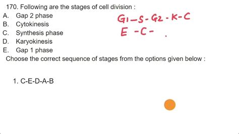 Can You Write The Interphase Phases And Cell Division Phases In The Right Sequence Youtube
