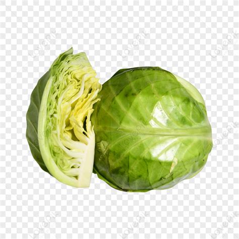 빛나는 신선한 녹색 양배추초록야채베어낸다 Png 일러스트 무료 다운로드 Lovepik