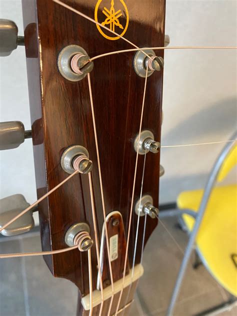 통기타 기타줄교체 경상남도 양산시 중부동 비즈프로필