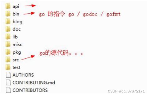 go语言学习（一）搭建环境与运行第一个代码 go 运行 csdn博客
