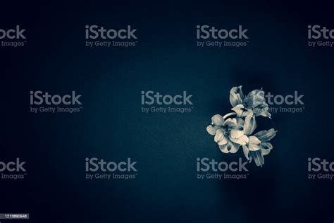 미니멀 한 플랫 레이 어두운 파란색 배경에 여러 꽃 Vignetting 공간을 복사합니다 0명에 대한 스톡 사진 및 기타 이미지 Istock