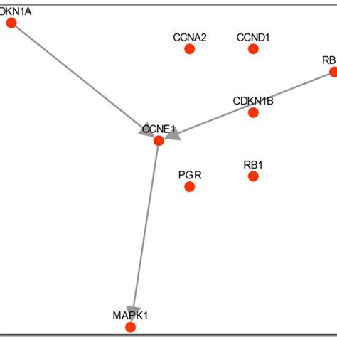 The Pseudocode Of The Color Coding Method Download Scientific Diagram