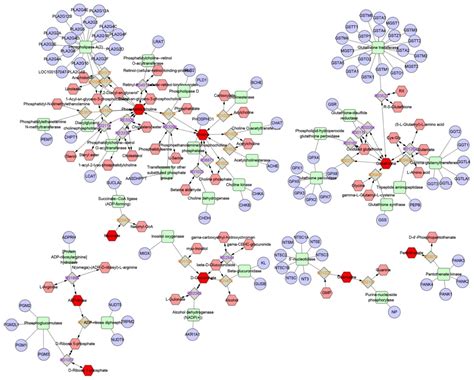 Hydrogen Rich Water Radiation And Cognition Python Water