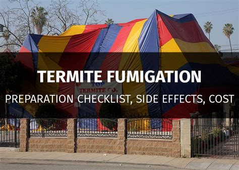 Termite Tenting Preparation Fumigation Checklist Side Effects Cost