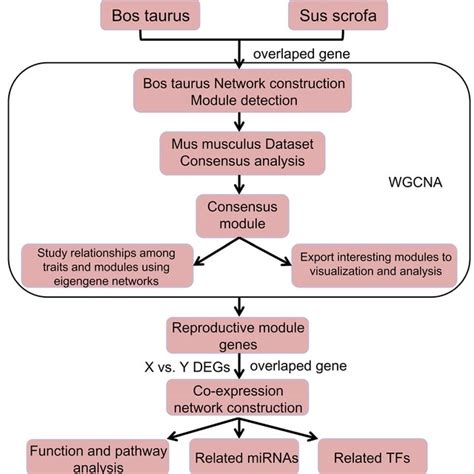 A Multi Step Strategy The Schematic Diagram For A Multi Step Strategy Download Scientific