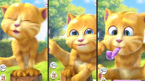 Talking Ginger Cat 😺all Action In One Minutebilli Wali Videostalking Tom Billi Shorts