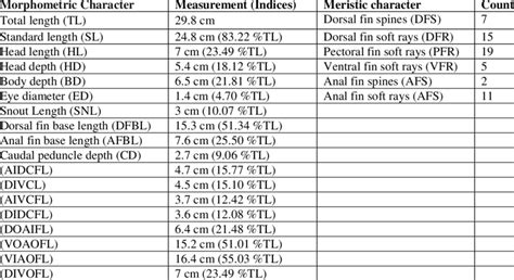 Morphometric Measurements Morphometric Indices Relative To Total Download Scientific Diagram