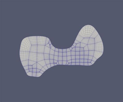 Introduction HOHQMesh