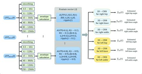 Schematic Illustration Of The Neural Signal Processing The Smoothed Download Scientific