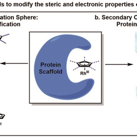 Methods To Modify The A Primary And B Secondary Coordination Sphere Download Scientific