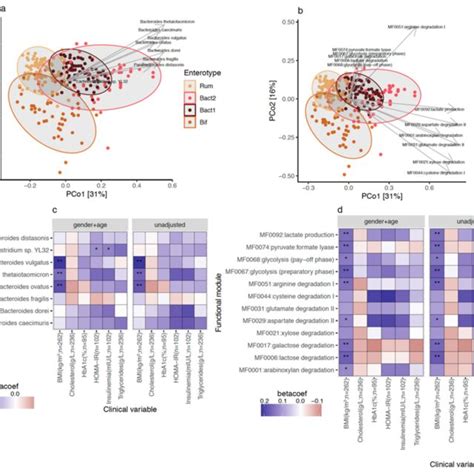 Taxonomic And Functional Features Enriched In Bact2 Microbiome Download Scientific Diagram