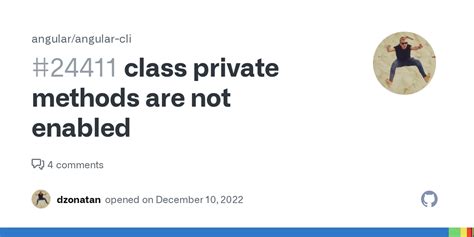 Class Private Methods Are Not Enabled Issue 24411 Angular Angular