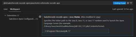 Vsc Error While Using Sfdx Update Checkpoints In Org Unable To