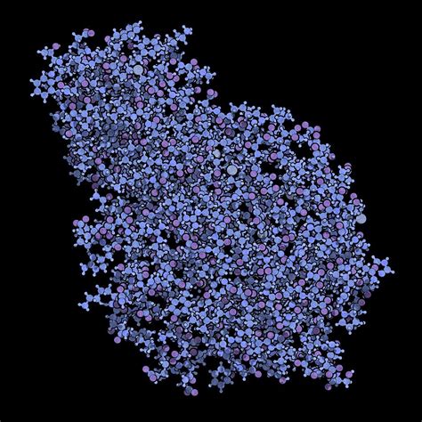 Alpha Galactosidase Enzyme Molecule 6 Photograph By Science Photo