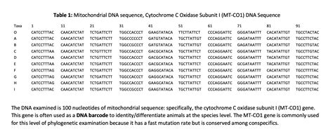Solved Create The Most Parsimonious Dna Sequence Tree For