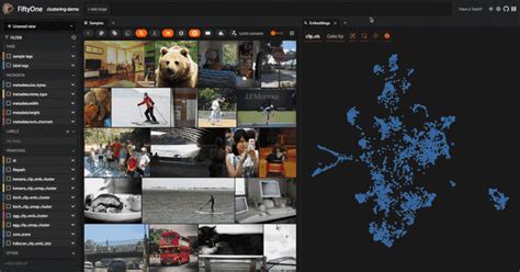 Clustering Images With Embeddings — Fiftyone 180 Documentation