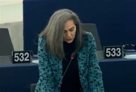 Η Ευρωβουλευτής Σοφία Σακοράφα στην Δράμα Dramini