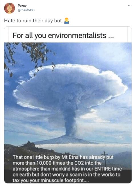 Plasmoid Unification Model R Joerogan