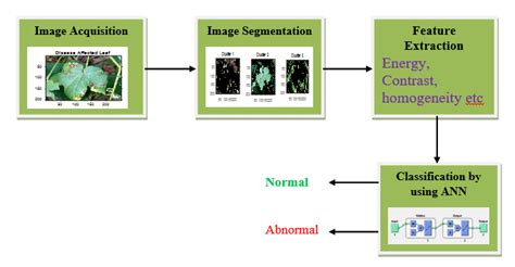 Proposed Method For Disease Detection Download Scientific Diagram
