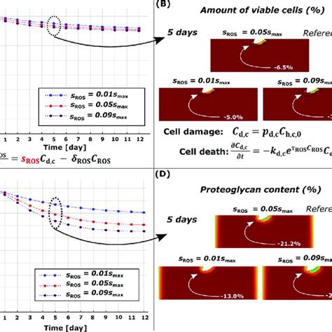 Sensitivity Analysis Of Simulated Reactive Oxygen Species Ros Download Scientific Diagram