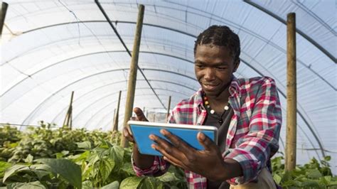 Smart Farming Project Grozine