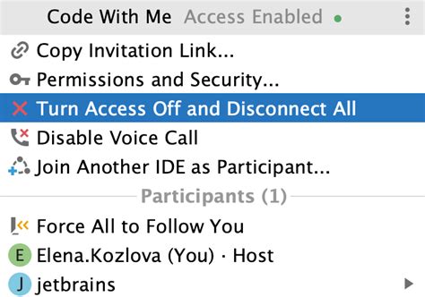 Getting Started With Code With Me Intellij Idea