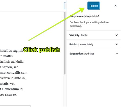 Adding A Blog Post New Wordpress Editor