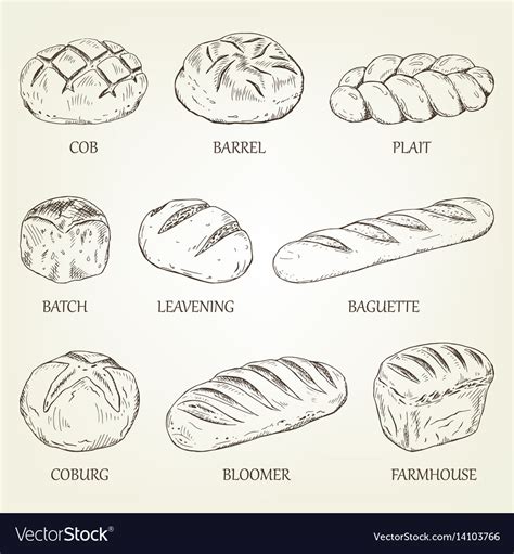 Outline Set Of Different Kinds Of Bread Royalty Free Vector