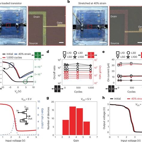 Intrinsically Stretchable Cnt Transistors Using A Vacuum Deposited Download Scientific Diagram