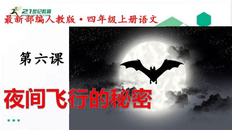 6 夜间飞行的秘密 课件共50张PPT 21世纪教育网