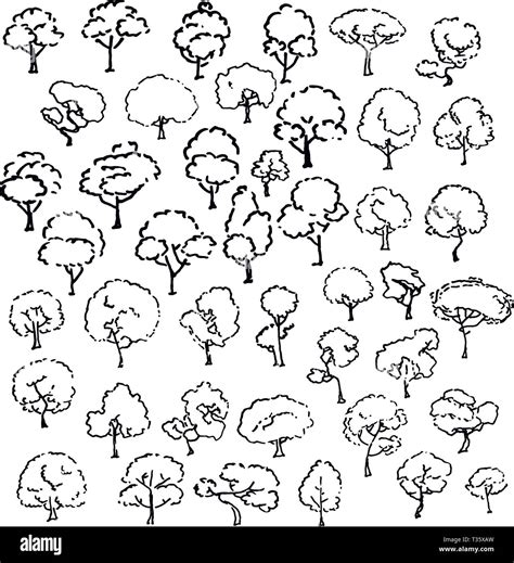 Trees Sketch Set Cartoon Vintage Illustration Ink Draw Engraved Style Hand Drawn Isolates