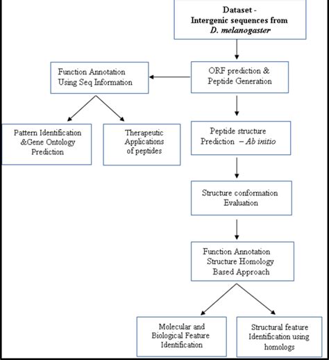 In Silico Strategy Designed For Identifying Potential Peptides From