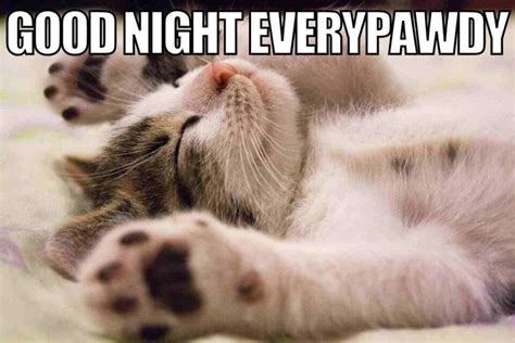 27 Best Goodnight Memes To Share Before Bedtime