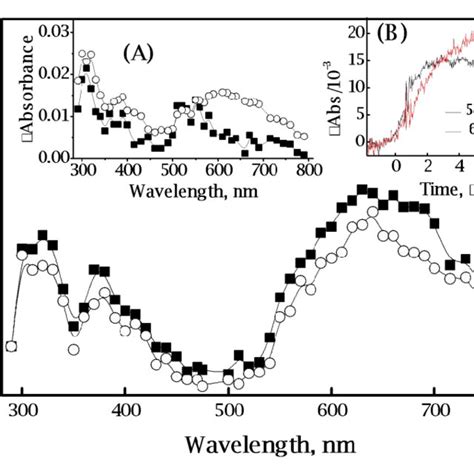Transient Absorption Spectra Generated By Pulse Radiolysis In An N 2