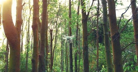 Obstacle Avoidance In Dji Drones Explained For Beginners Droneblog