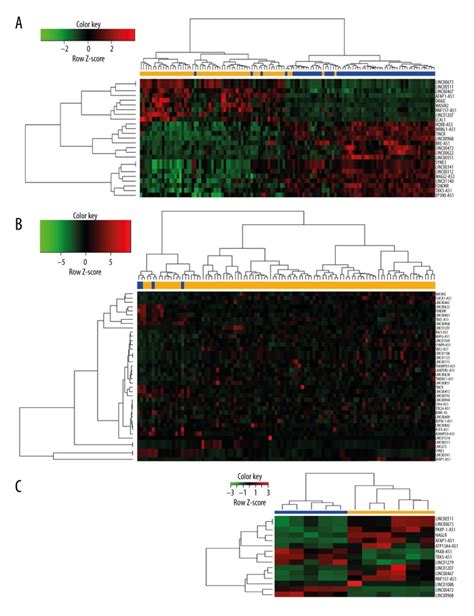 Integrative Bioinformatics Analysis Reveals Potential Long Non Coding RNA Biomarkers And