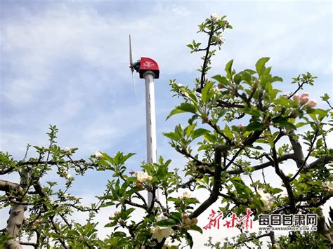 防霜冻风机 果园防霜冻风扇 果园防霜冻风机 第22页 大山谷图库