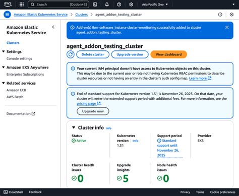 implement observability for amazon eks workloads using the instana