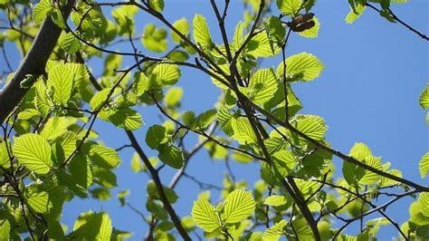 Spring Bootのweb画面上でデータ検索機能を追加してみた完成イメージと前提条件｜itエンジニアとして経験・学習したこと