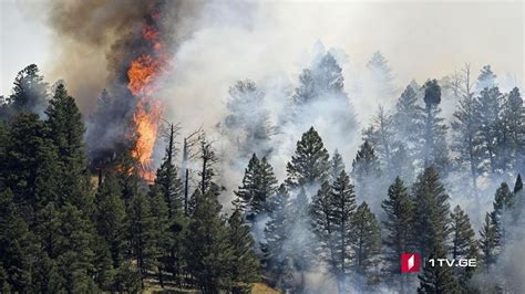 მასშტაბური ხანძარი ამაზონის ტყეში Youtube