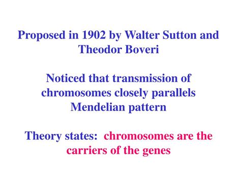 Ppt Chromosome Theory Of Inheritance Powerpoint Presentation Free Download Id