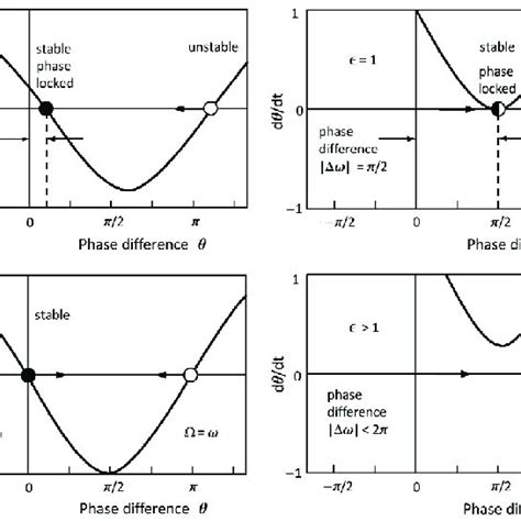 Phase Response Curve Dq Dt Vs Q For A Nonuniform Oscillator Download Scientific Diagram