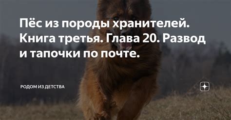 Пёс из породы хранителей. Книга третья. Глава 20. Развод и тапочки по ...