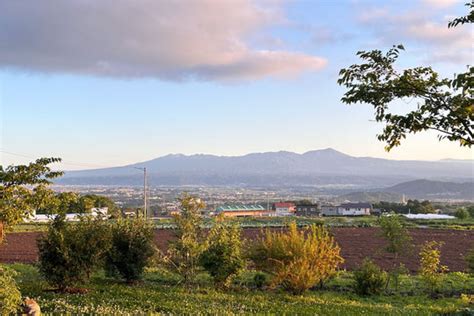 Blog一覧 Tsugumori つぐもり