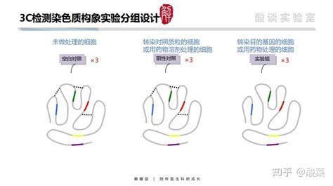 有救啦！cck 8、mtt、划痕实验 、pi染色等14个实验，巨详细！ 知乎