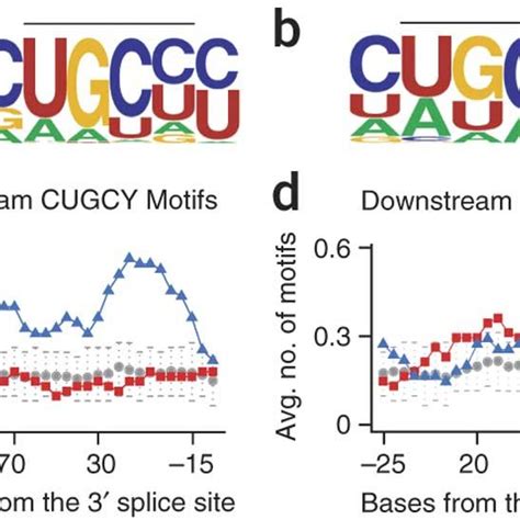 Ygcy Motifs Mediate Mbnl1 Dependent Splicing Repression And Activation Download Scientific